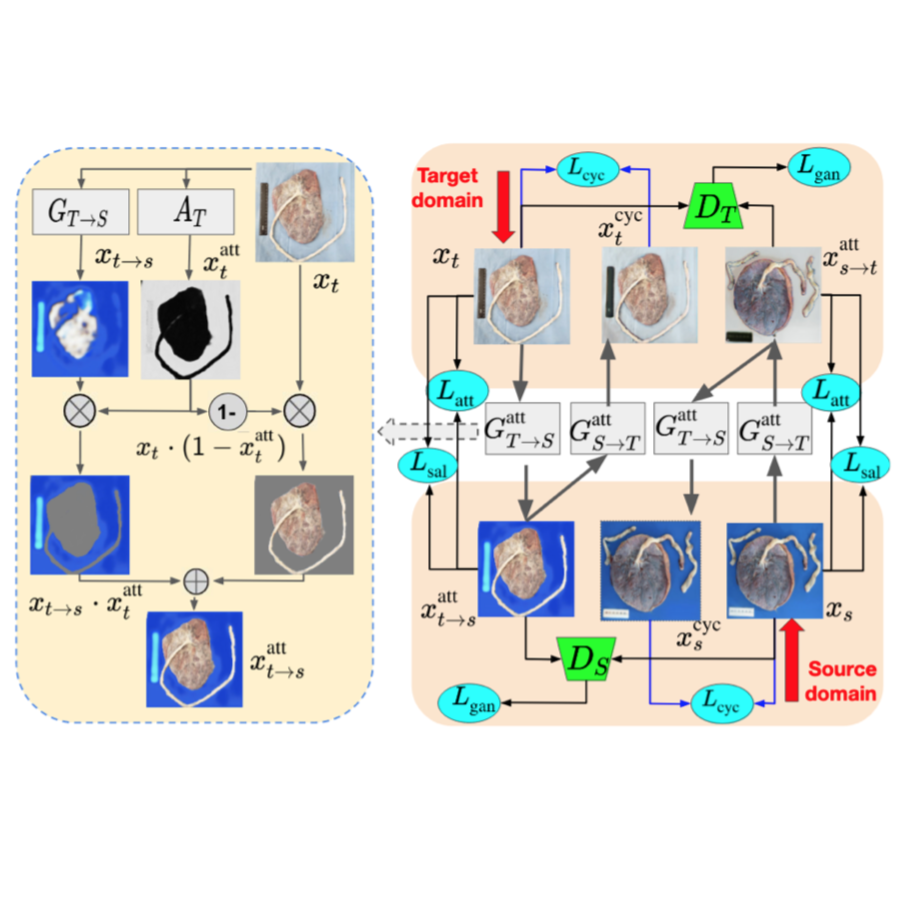 PlacentaVision | AI-driven Analysis of Placentas