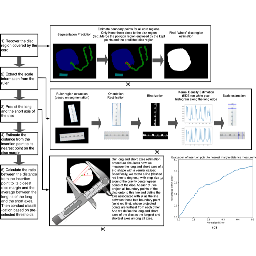 PlacentaVision | AI-driven Analysis of Placentas